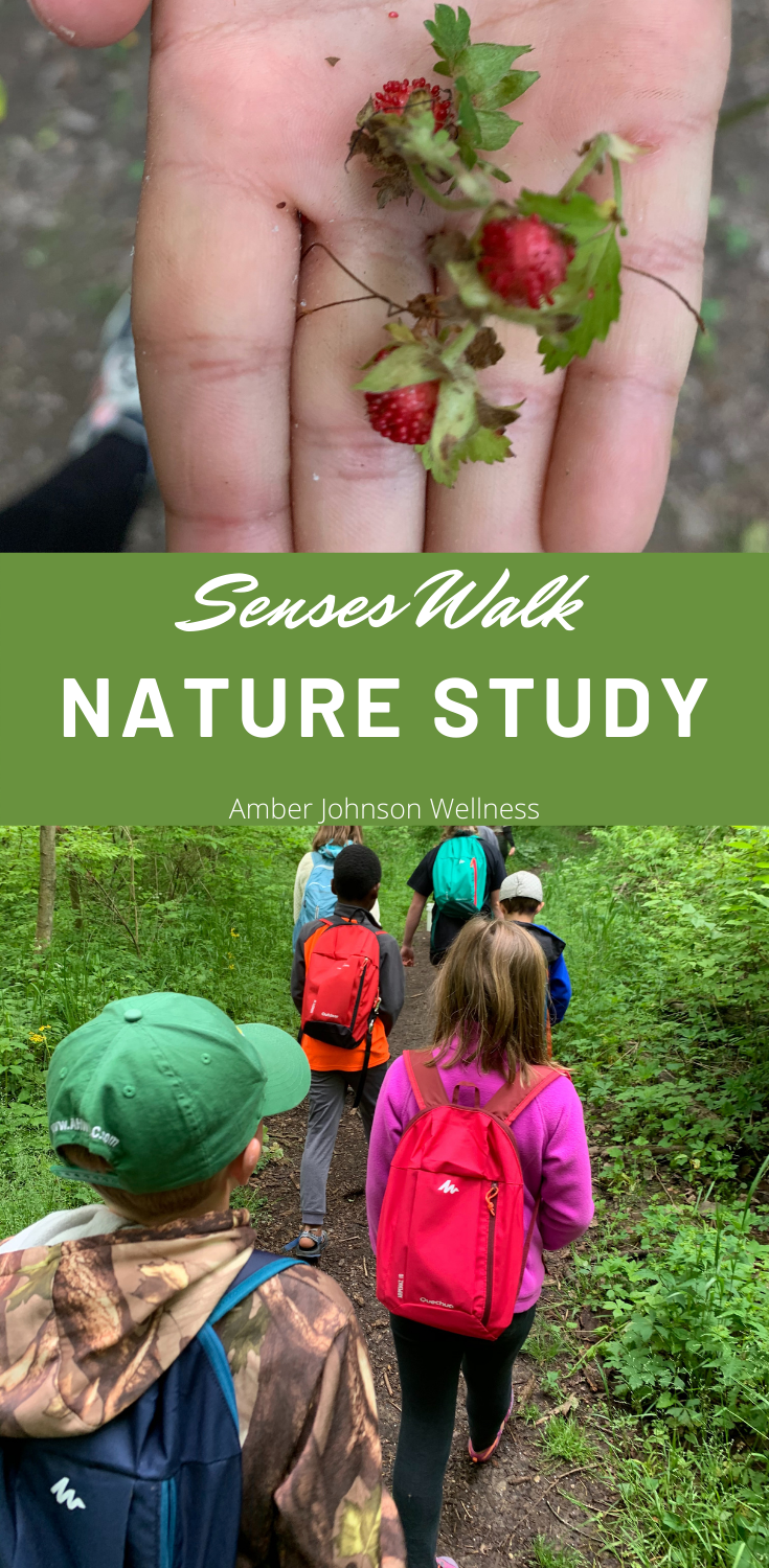 How to Use Your Senses when Studying Nature - Amber Johnson