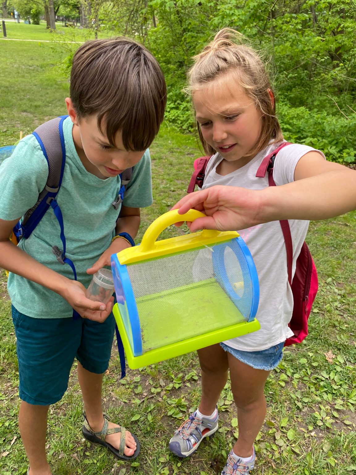 How to Use Your Senses when Studying Nature - Amber Johnson